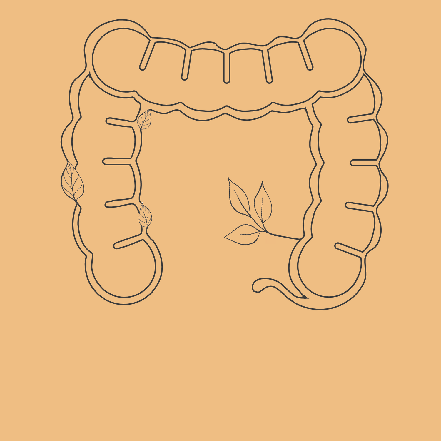 SHARE FERMENTED UK LTD